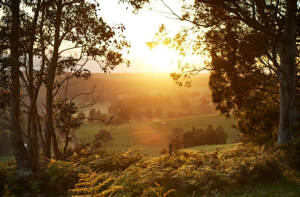 Top Forests and National Parks | Australia's South West