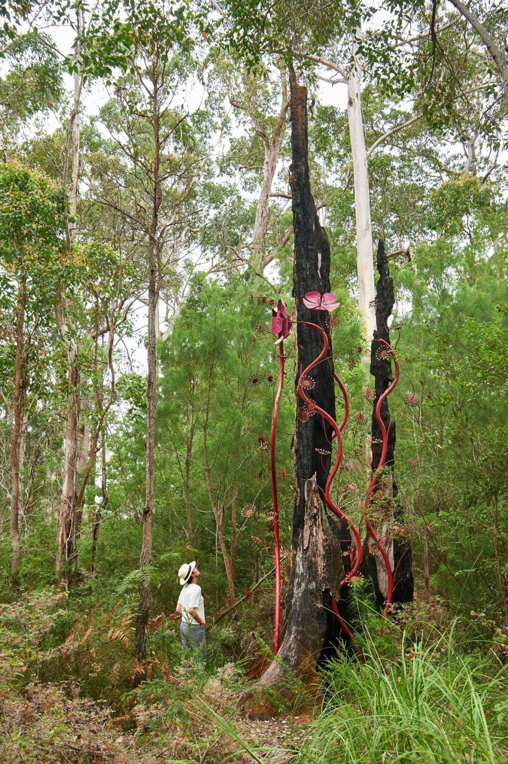 Northcliffe - Things To Do & See | Australia's South West