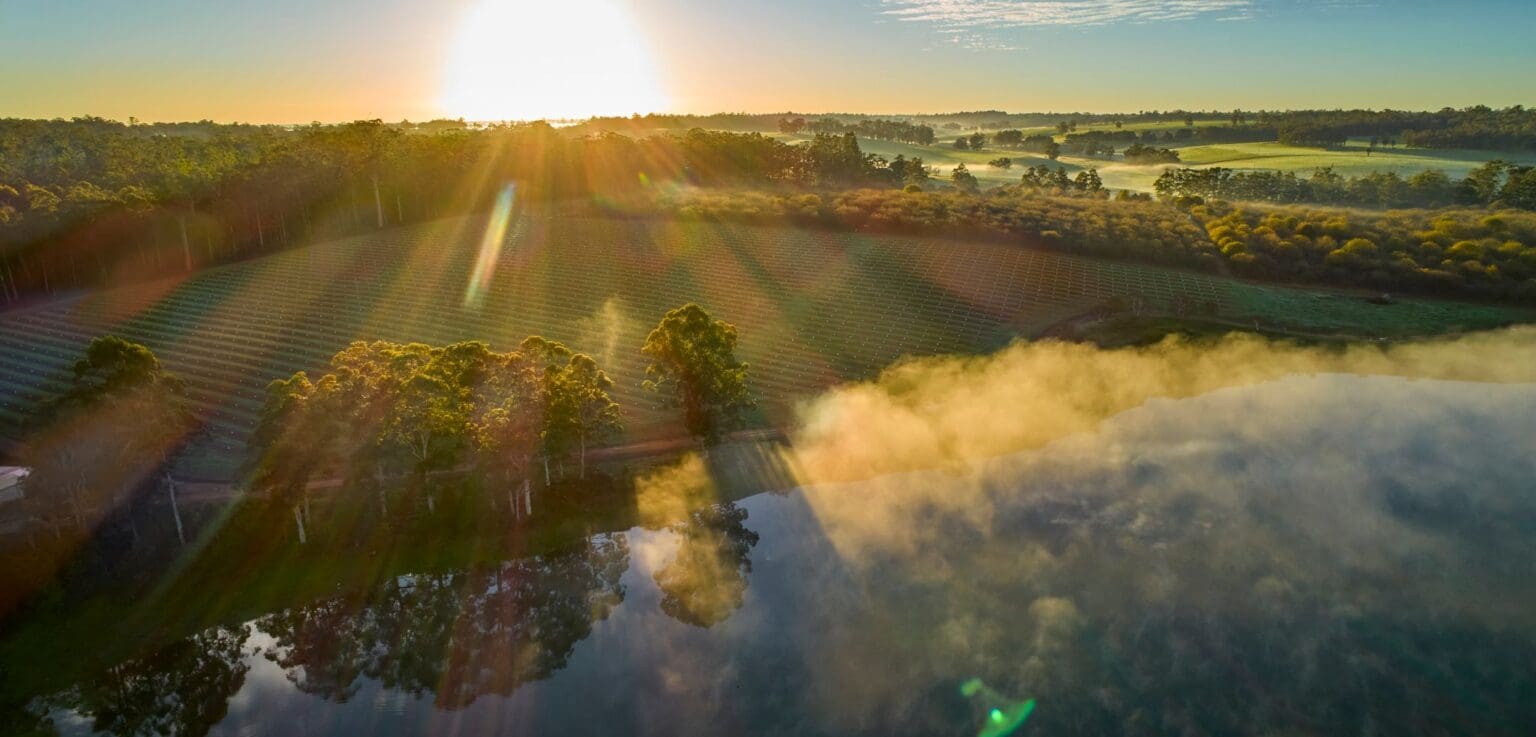 Things To Do In Manjimup, WA | Australia's South West
