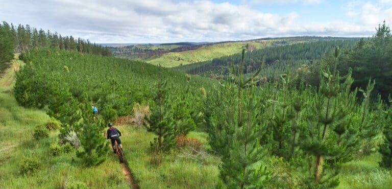 Nannup, WA: Things To Do, Where to Stay & More in 2026