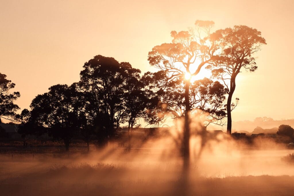 Margaret River: Things to do, where to stay, events & more!