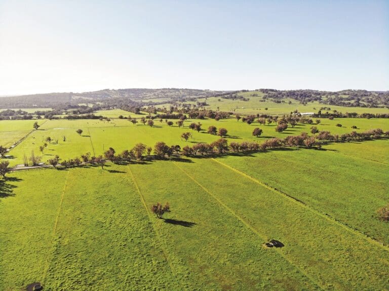 Djeran in Australia’s South West: A Season of Wellness & Rejuvenation ...