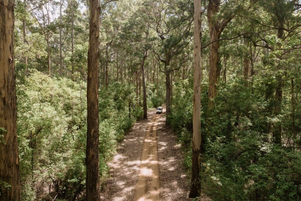 Pemberton - Things To Do & See | Australia's South West