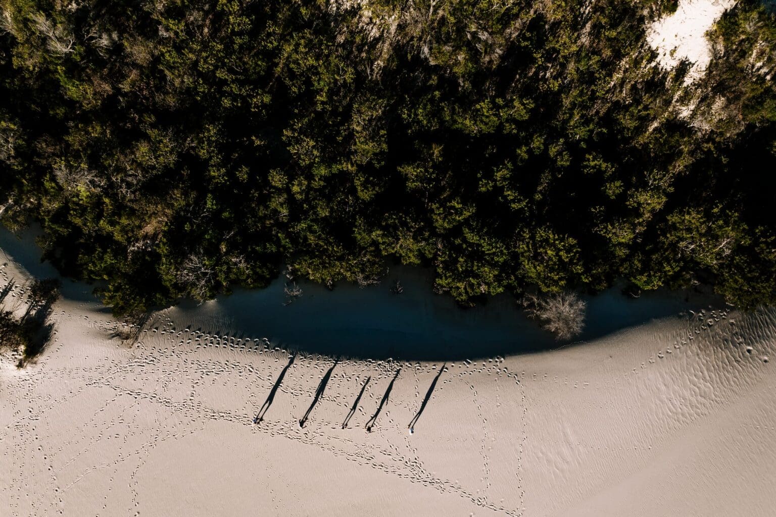 Pemberton - Things To Do & See | Australia's South West
