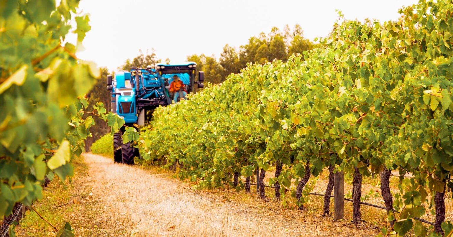 Cranbrook and Frankland River | Australia's South West