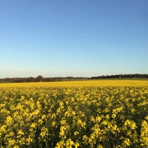 Pingrup, WA: Things To Do, Where to Stay & More in 2026