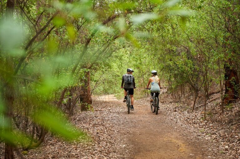 Things To Do In Manjimup, WA | Australia's South West