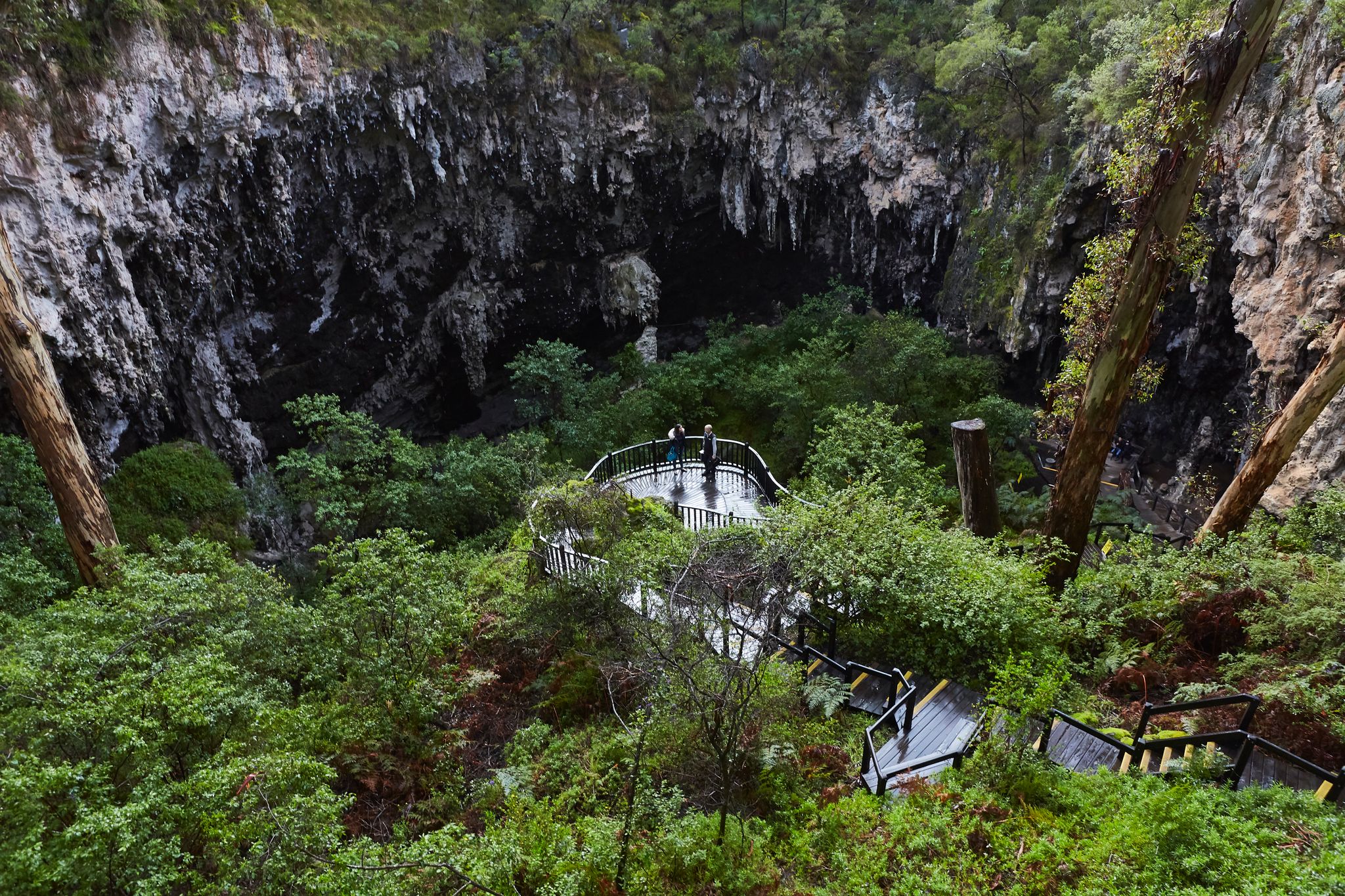 Lake Cave | Australia's South West