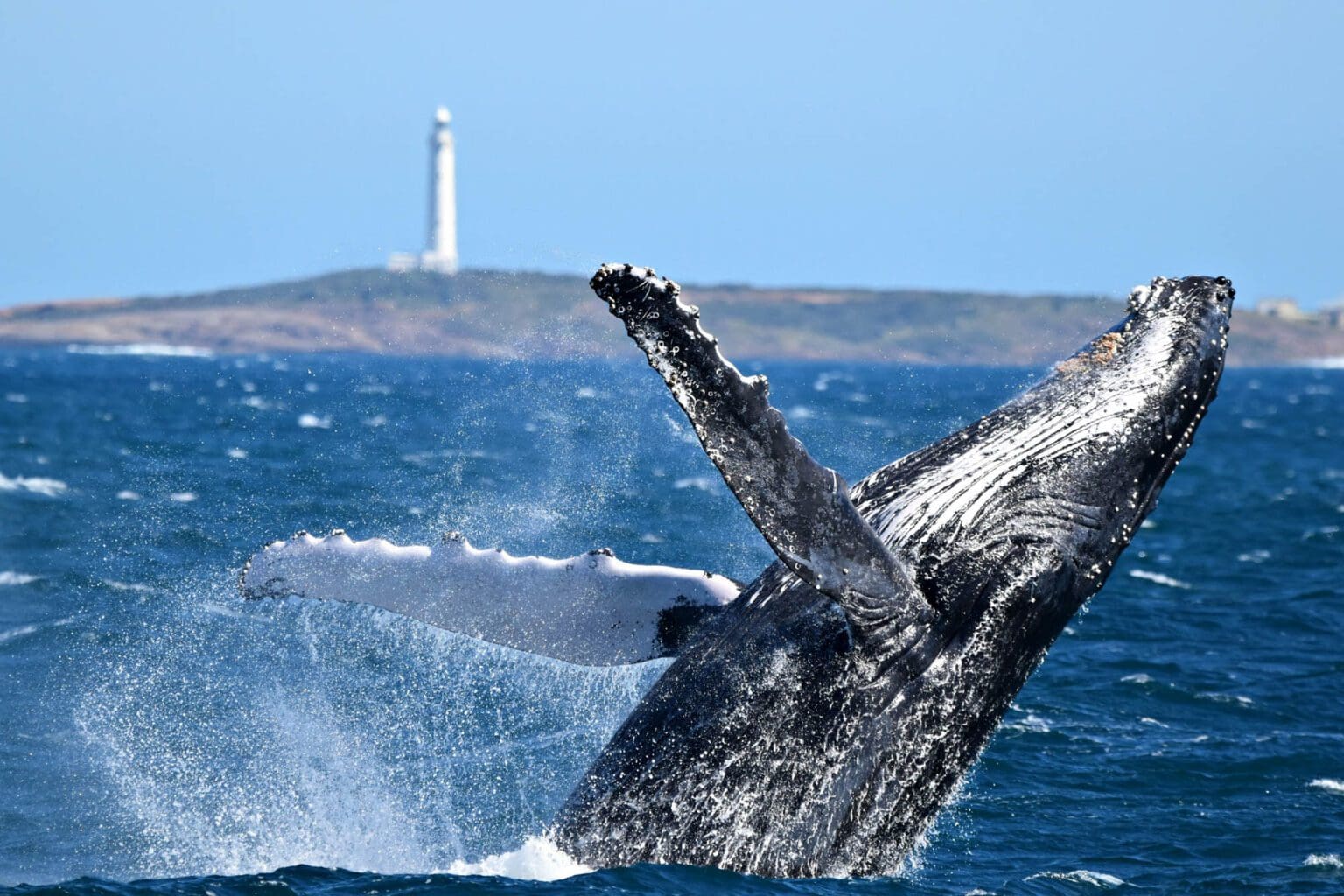 Bremer Bay: Things to do, where to stay, events & more!