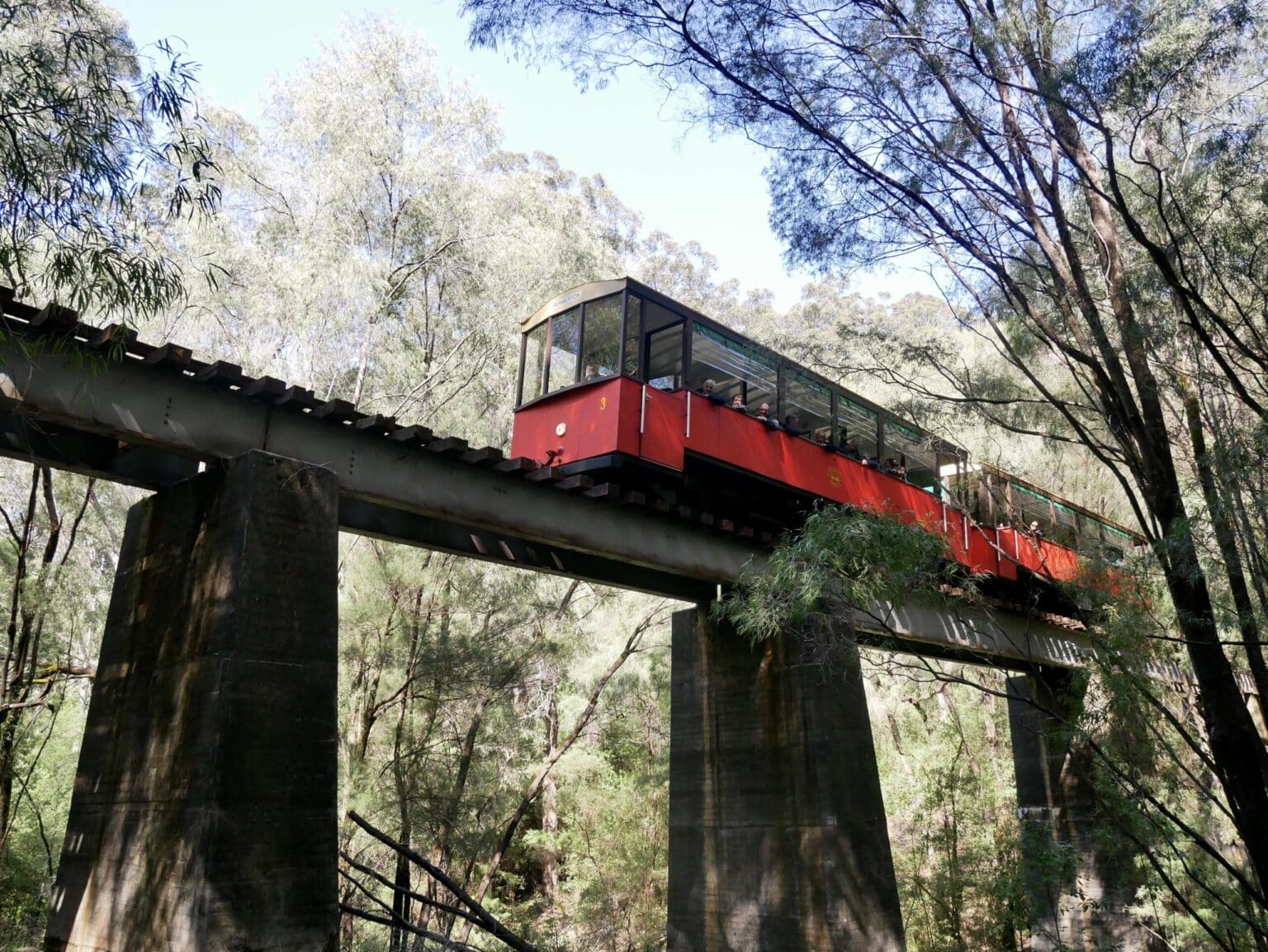 Pemberton Tramway Company | Australia's South West