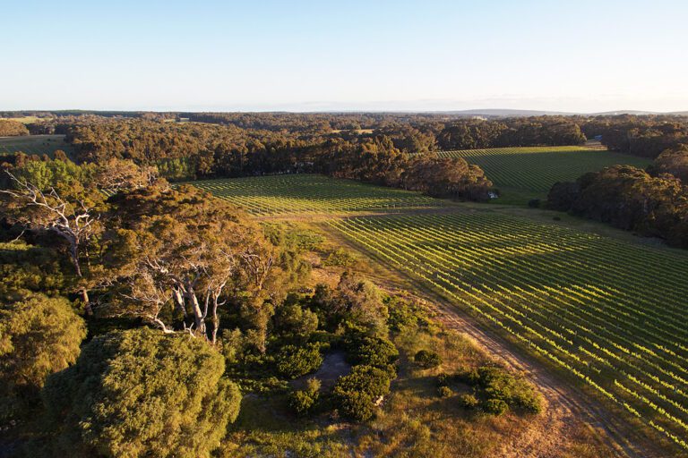 Passel Estate | Australia's South West