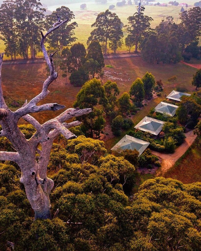 Kambarang In Australia's South West: A Season of Colour, Flavour and ...