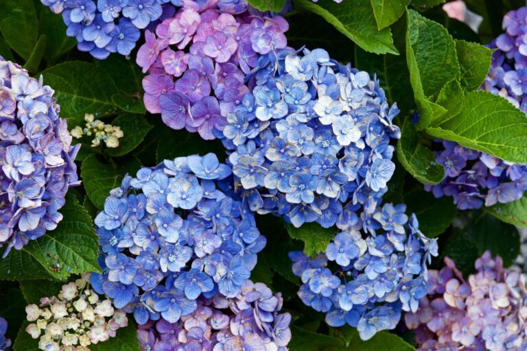 Aravina Estate & 8 Waves Brewing Co | Australia's South West