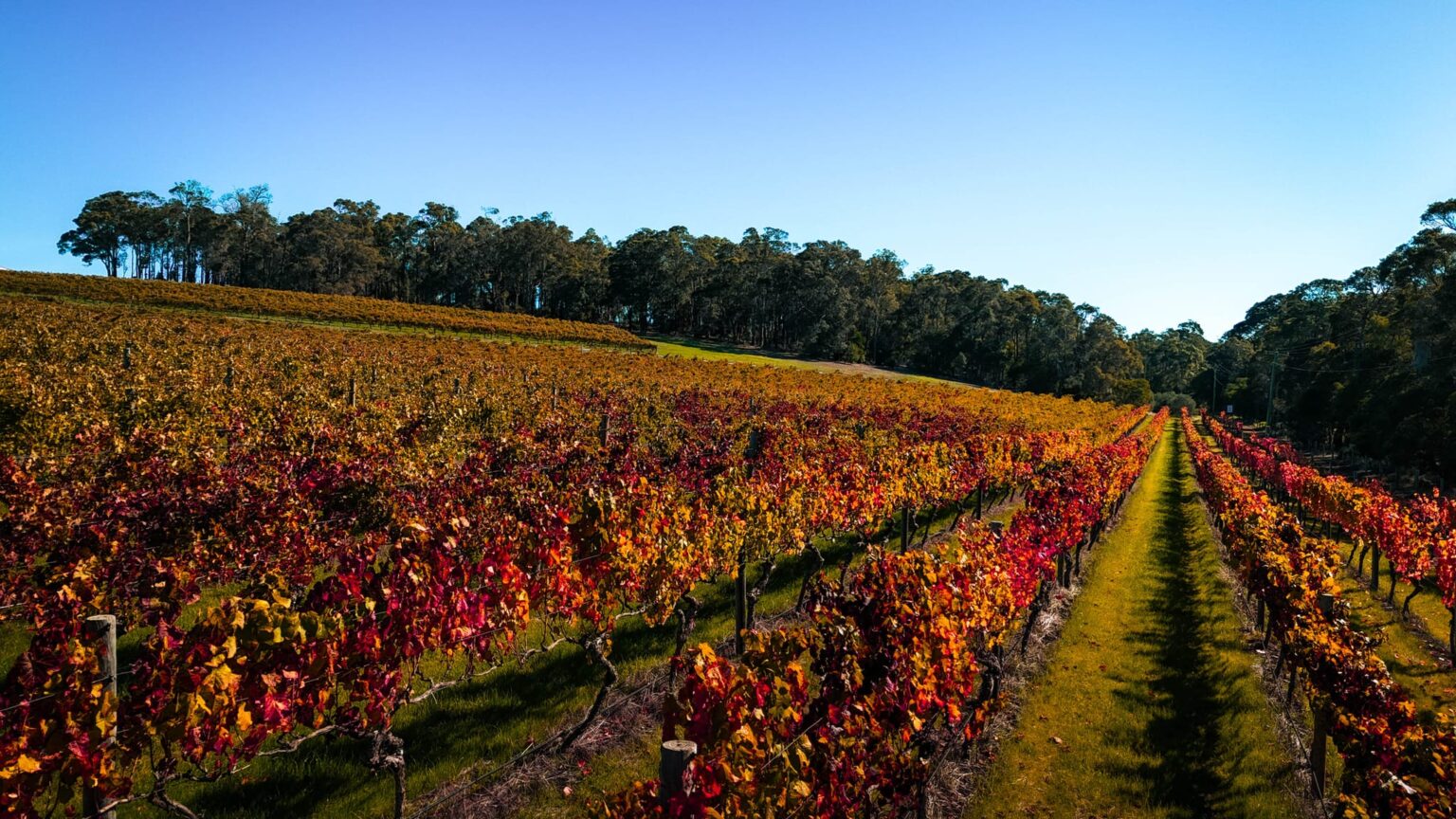 Djeran in Australia’s South West: Short Escapes, Slow Moments ...