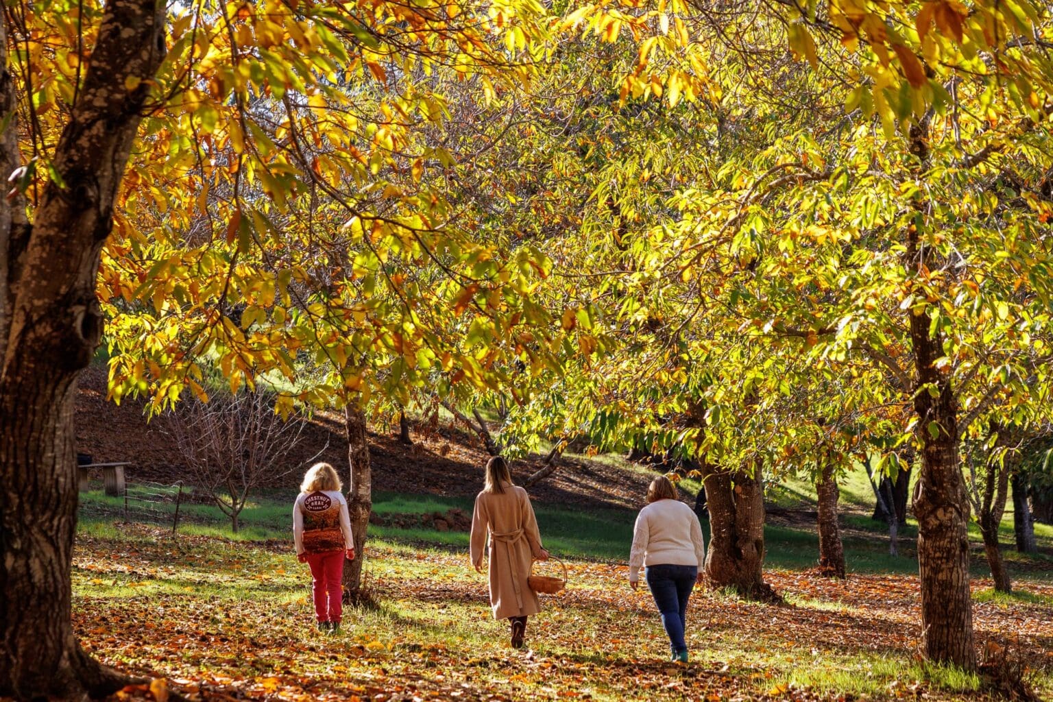 Djeran in Australia’s South West: Short Escapes, Slow Moments ...