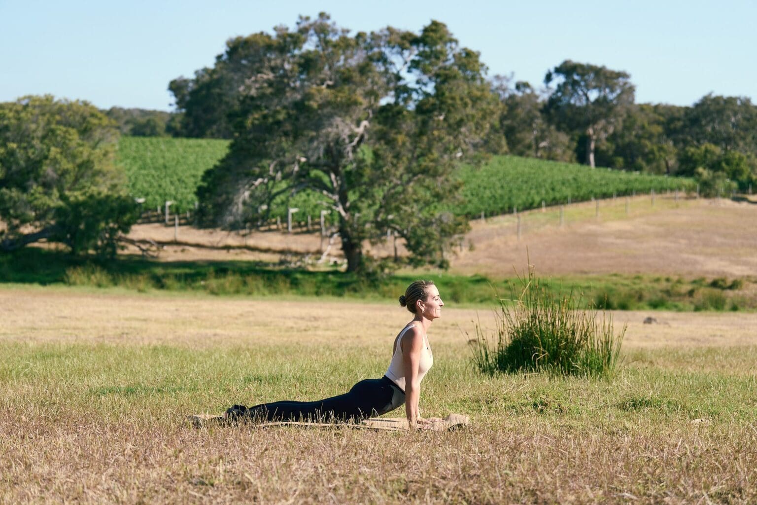 Djeran in Australia’s South West: A Season of Wellness & Rejuvenation ...