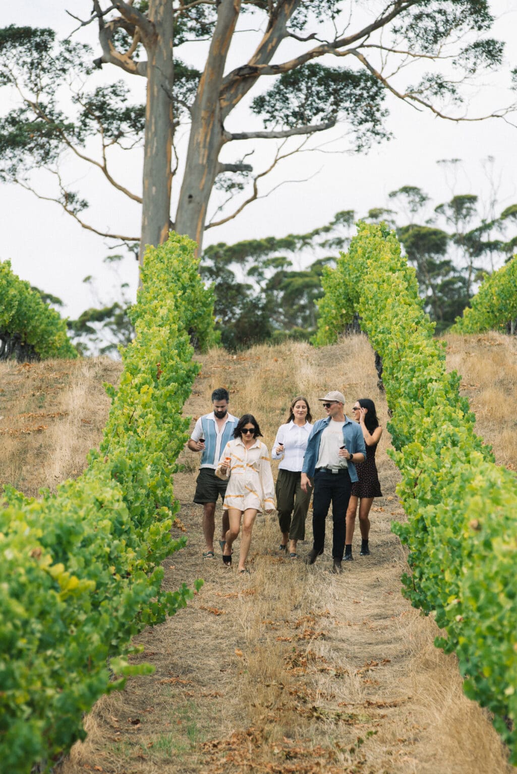 Djeran in Australia’s South West: A Season of Wellness & Rejuvenation ...