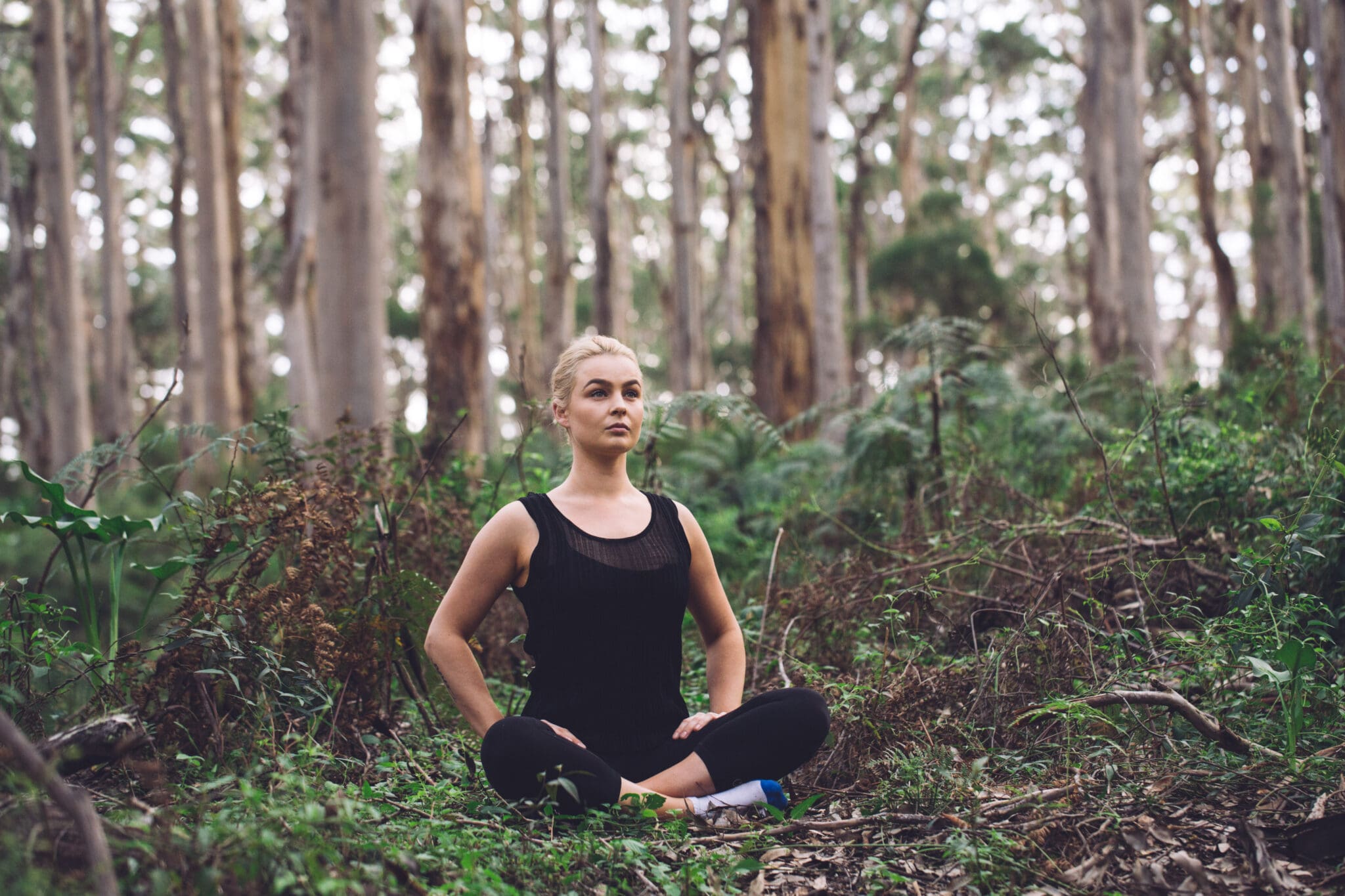 Djeran in Australia’s South West: A Season of Wellness & Rejuvenation ...