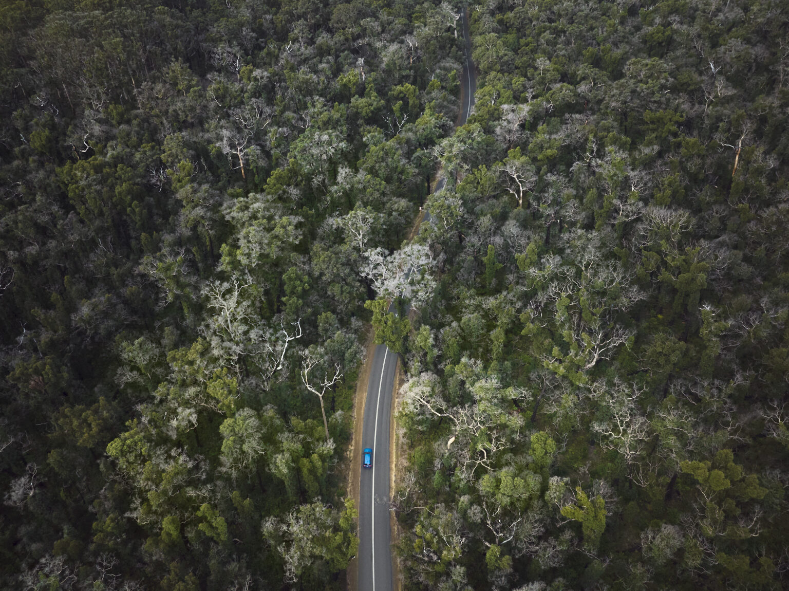 Makuru in Australia’s South West: A Wild & Soul-Stirring Winter ...