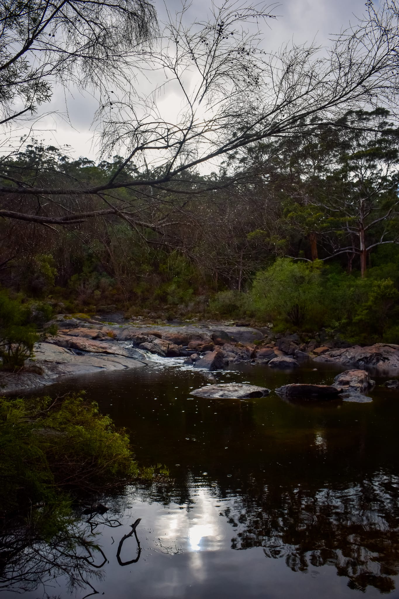 Winter Wonders in the Southern Forests & Valleys: An Unforgettable ...