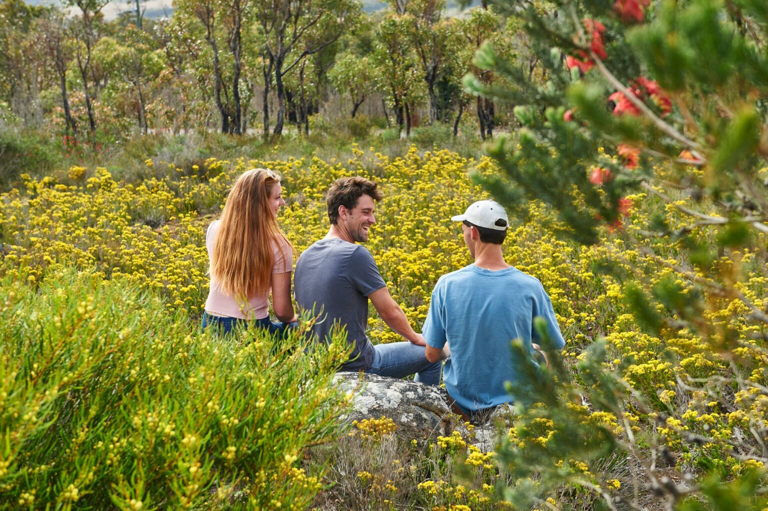 Djilba in Australia’s South West: From Breathtaking Whales to Blooming ...