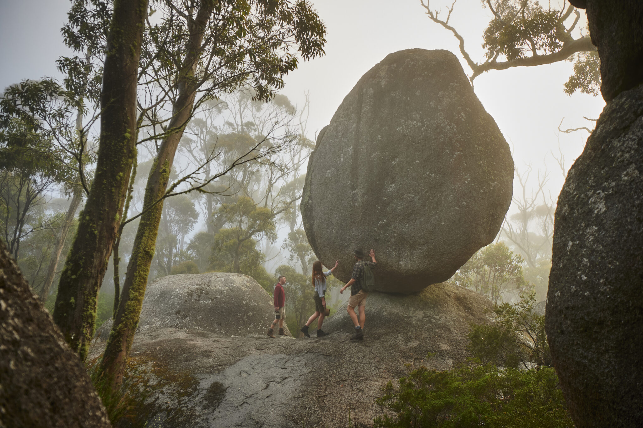 Djilba in Australia’s South West: From Breathtaking Whales to Blooming ...