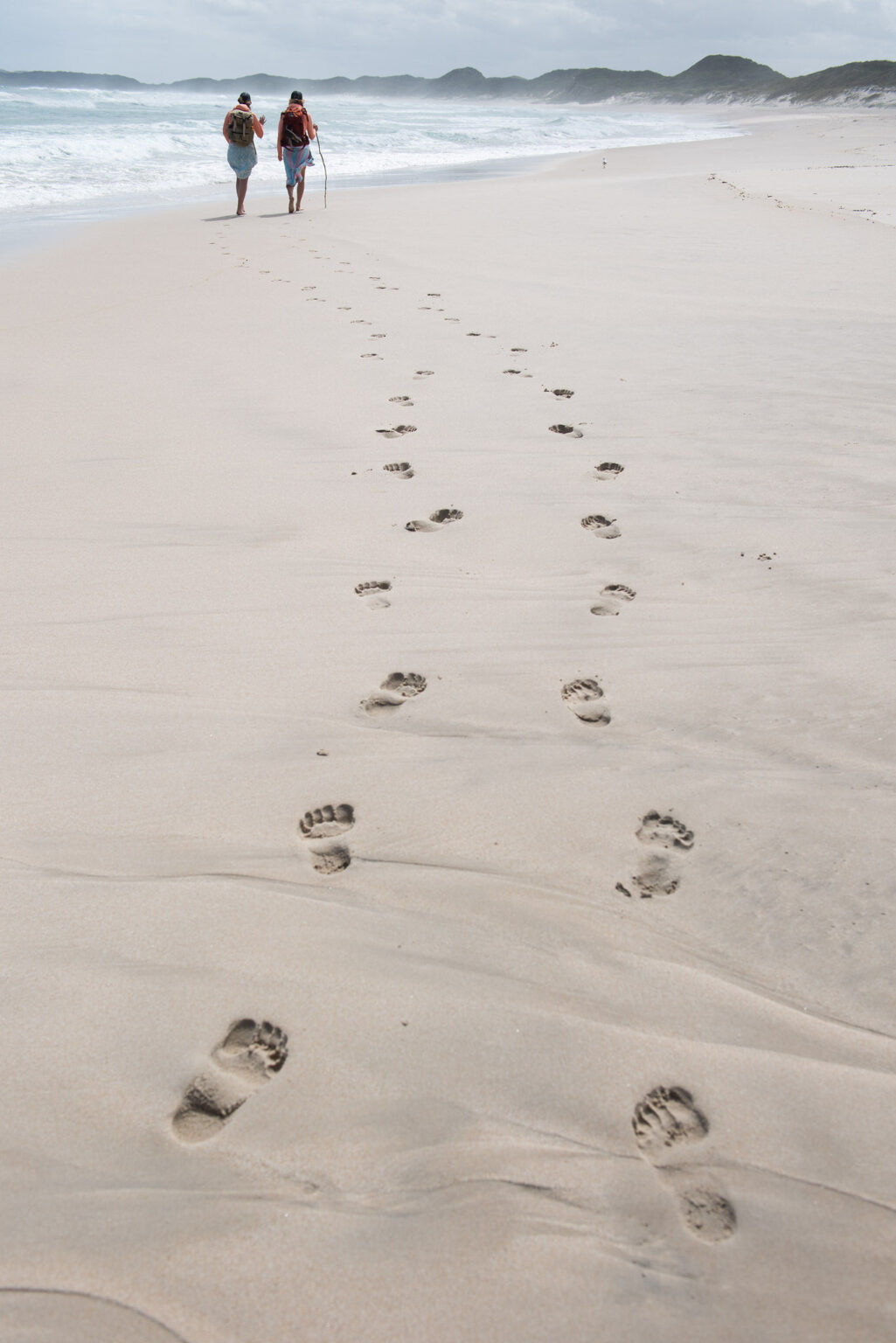 Djilba in Australia’s South West: From Breathtaking Whales to Blooming ...