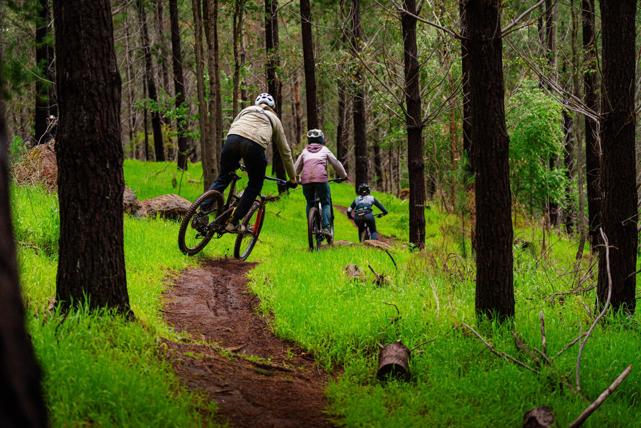 Djilba in Australia’s South West: From Breathtaking Whales to Blooming ...