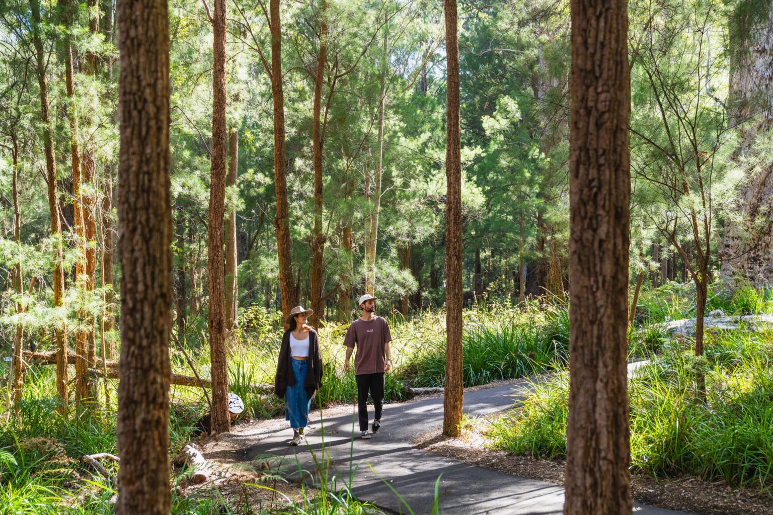 Djilba in Australia’s South West: From Breathtaking Whales to Blooming ...