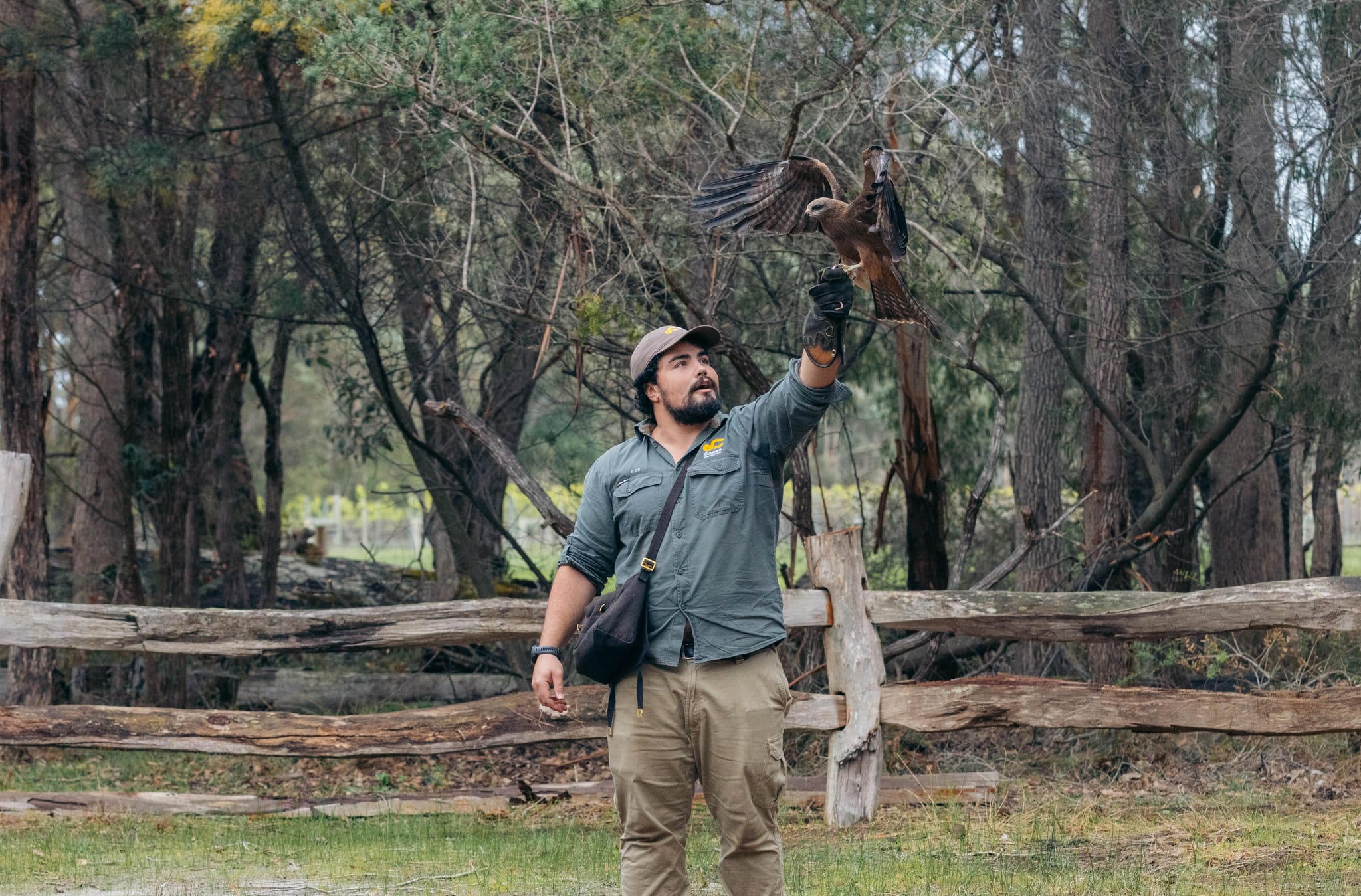 Capes Raptor Centre | Australia's South West