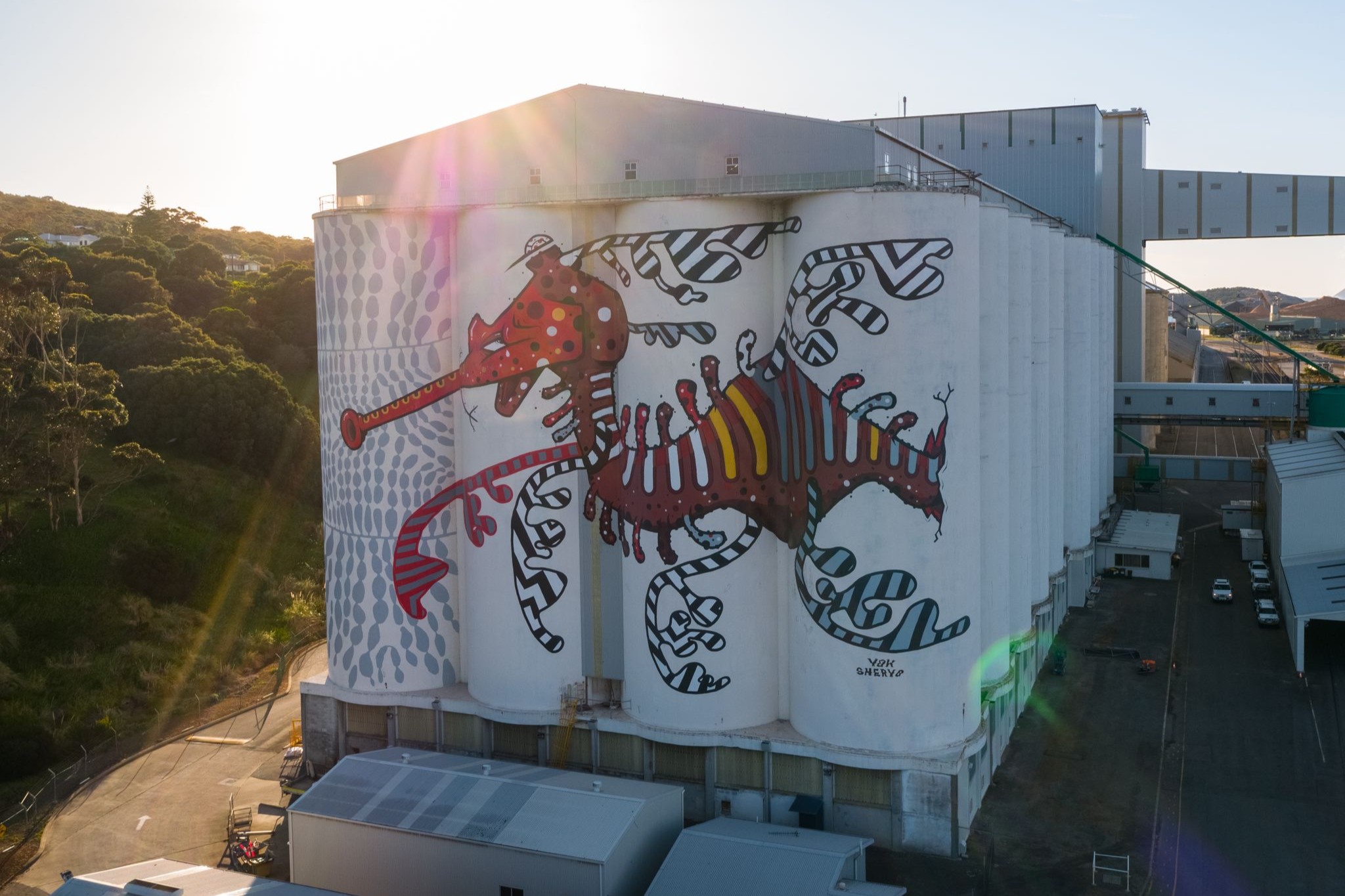 Albany 2026: A Vibrant Three Day Arts Roadtrip | Australia's South West