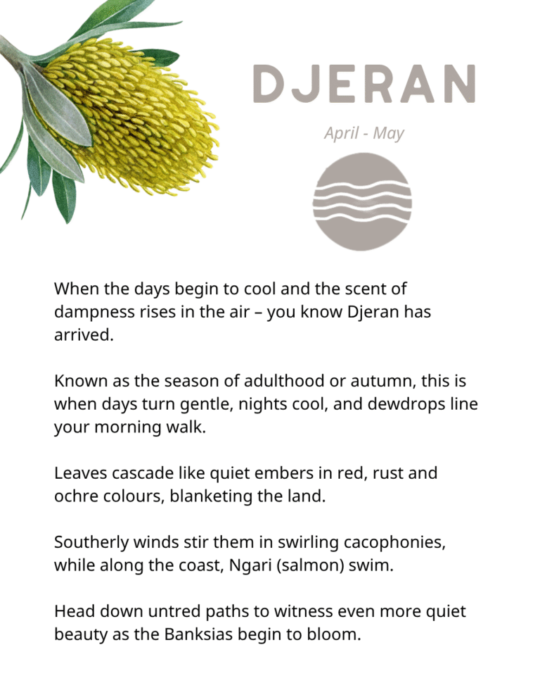 Noongar Seasons | The Six Seasons of Australia's South West