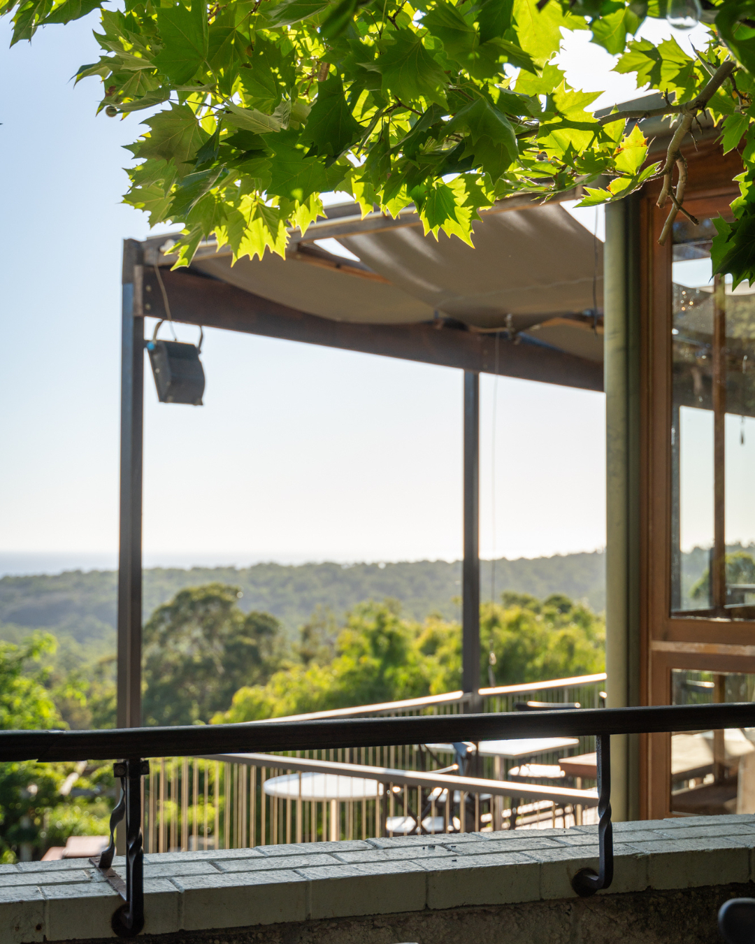 Wise Wine | Australia's South West