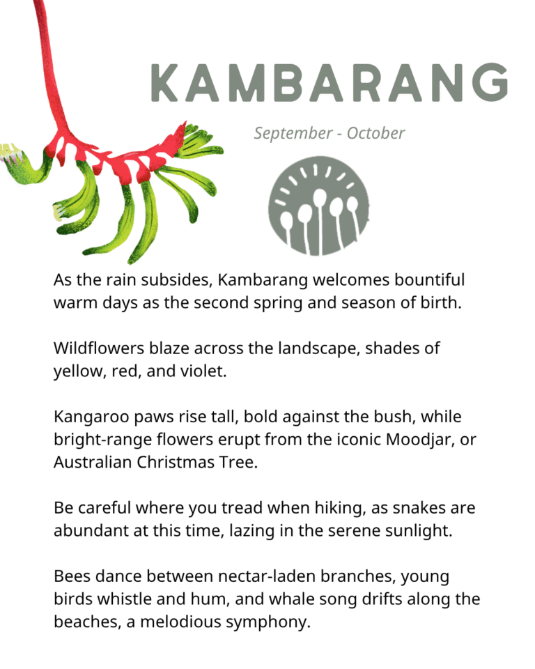 Noongar Seasons | The Six Seasons of Australia's South West