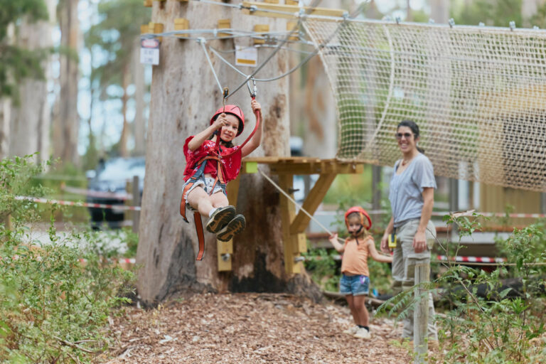 Aerial Adventure Pemberton | Australia's South West