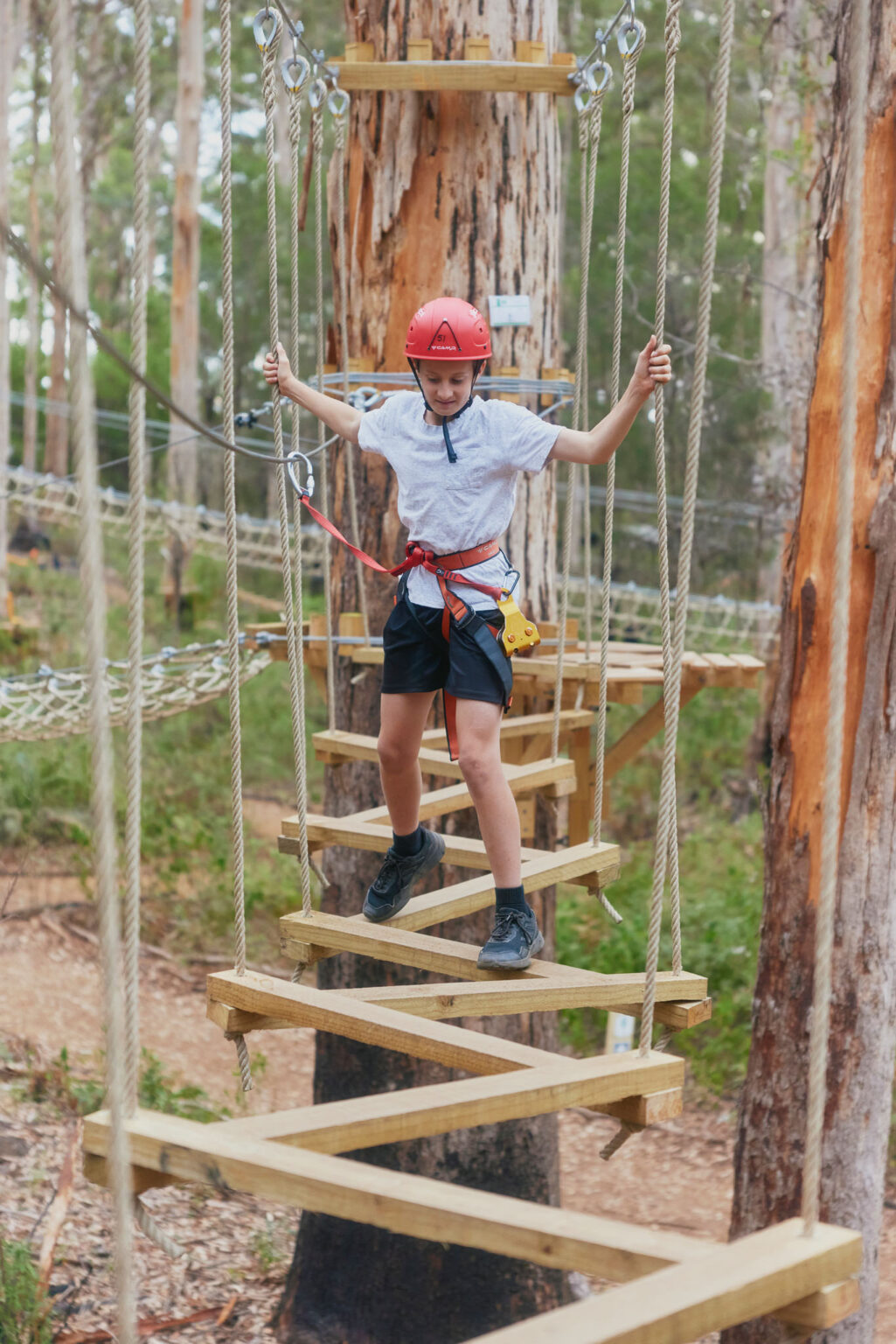 Aerial Adventure Pemberton | Australia's South West