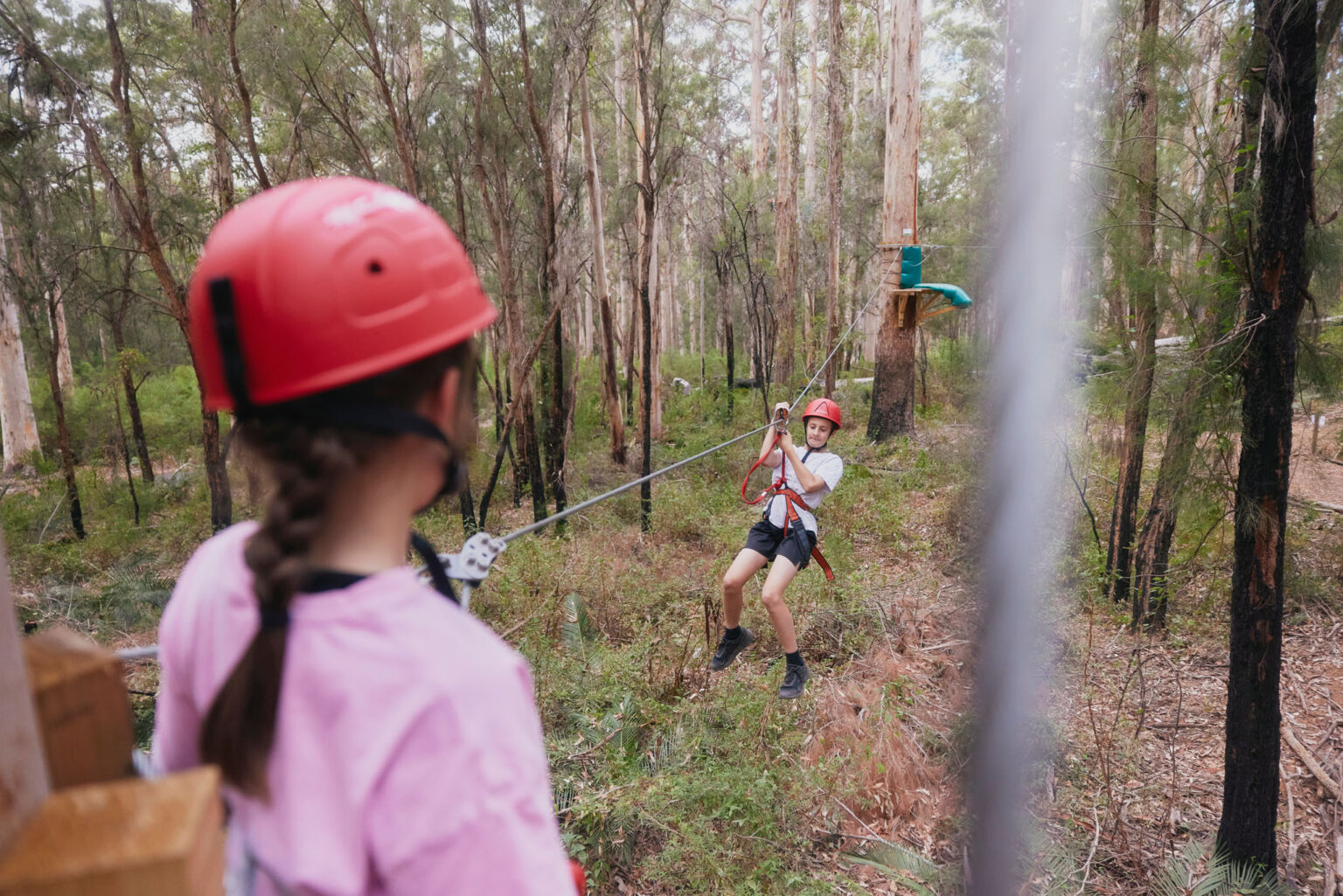 Aerial Adventure Pemberton | Australia's South West