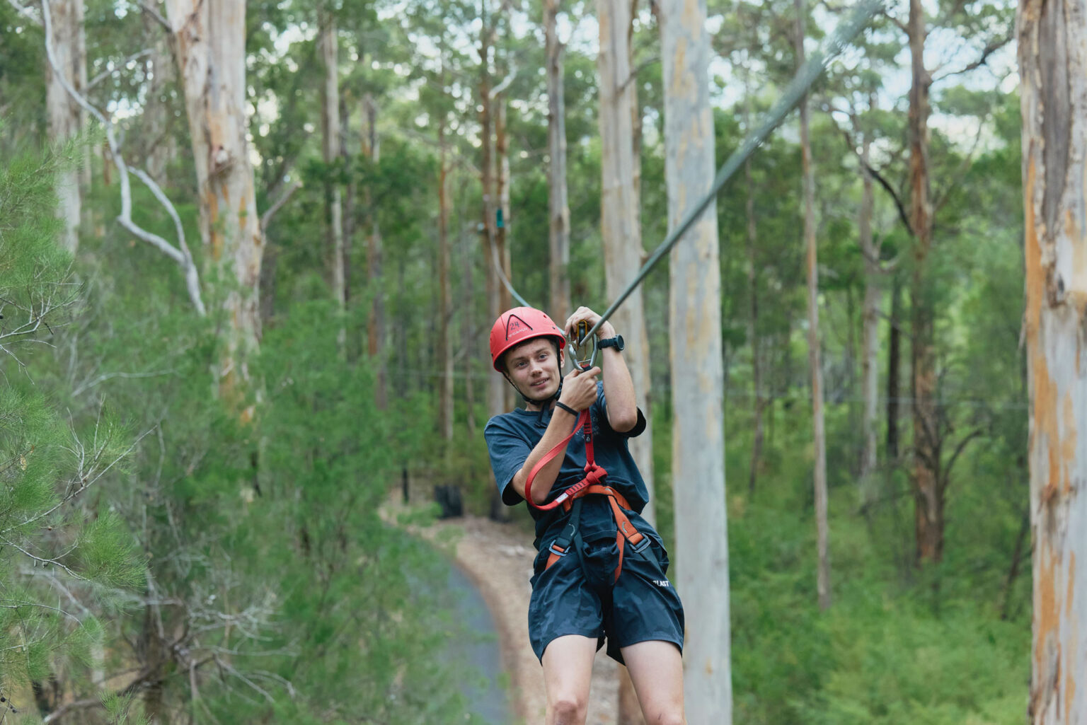 Aerial Adventure Pemberton | Australia's South West