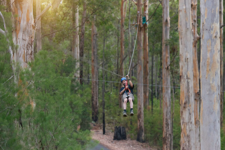 Things To Do In Manjimup, WA | Australia's South West